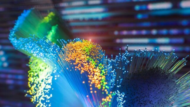 Ultrabroadband, FiberCop pubblica l'assessment sulla biodiversità